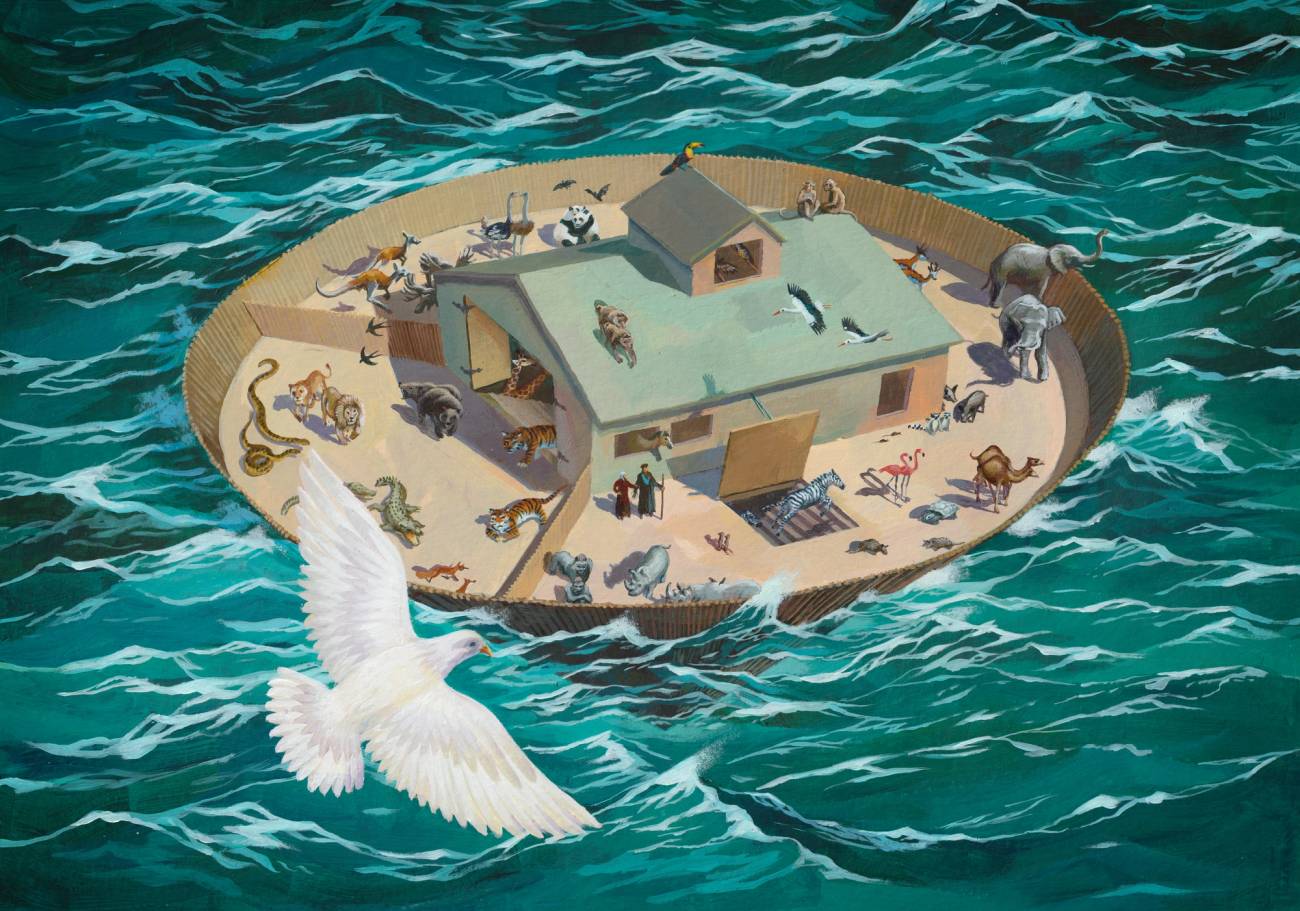 Biblical Meaning of Dead Birds in Dreams : Unlocking the Mysteries – On ...